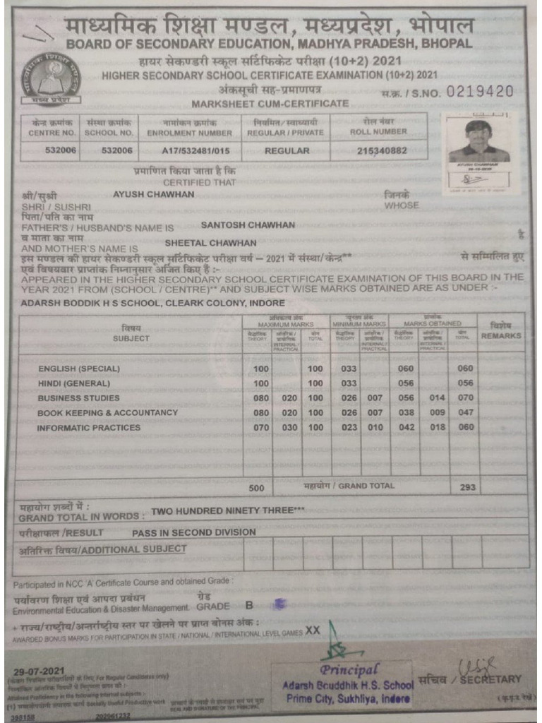 Senior Secondary Marksheet | PDF