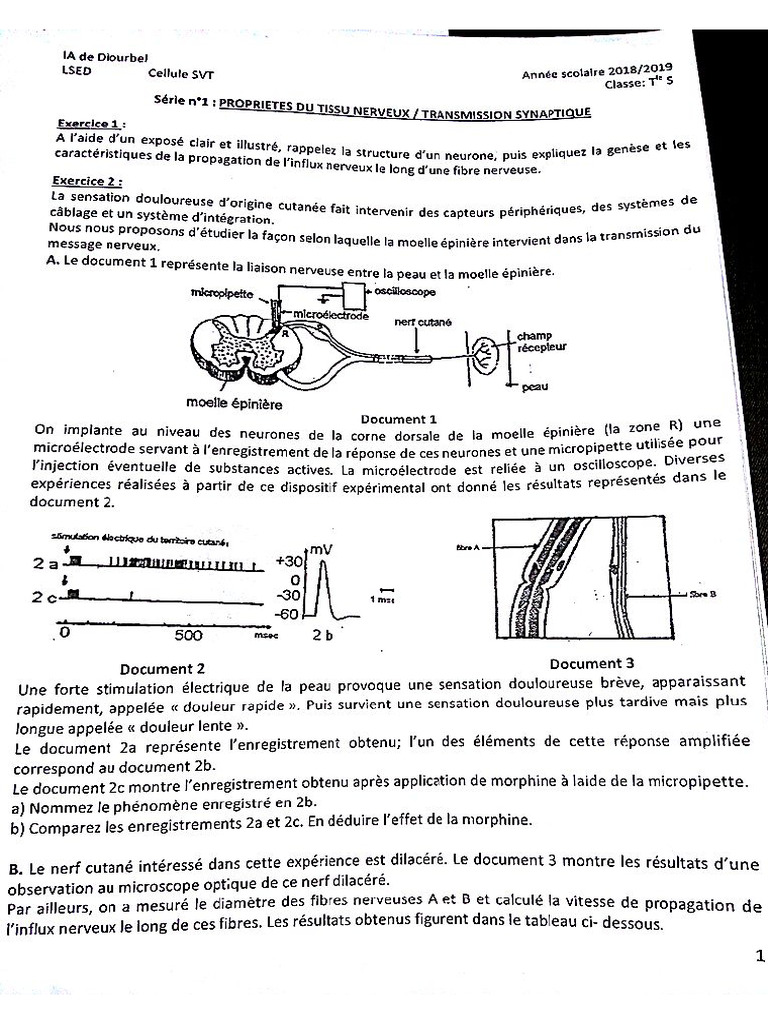 Exos SVT (Lsed) | PDF