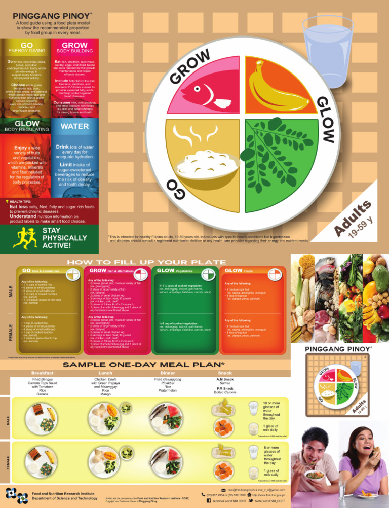 Pinggang Pinoy For Adults 19-59y (FNRI) | PDF