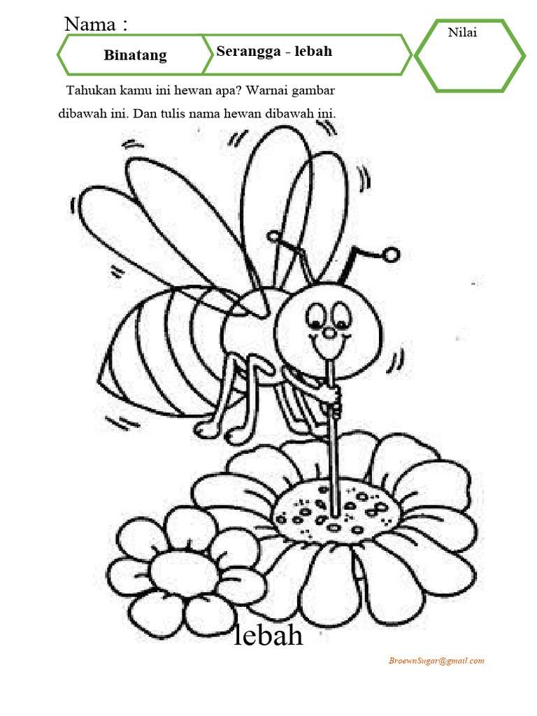 Binatang - serangga - lebah - mewarnai | PDF