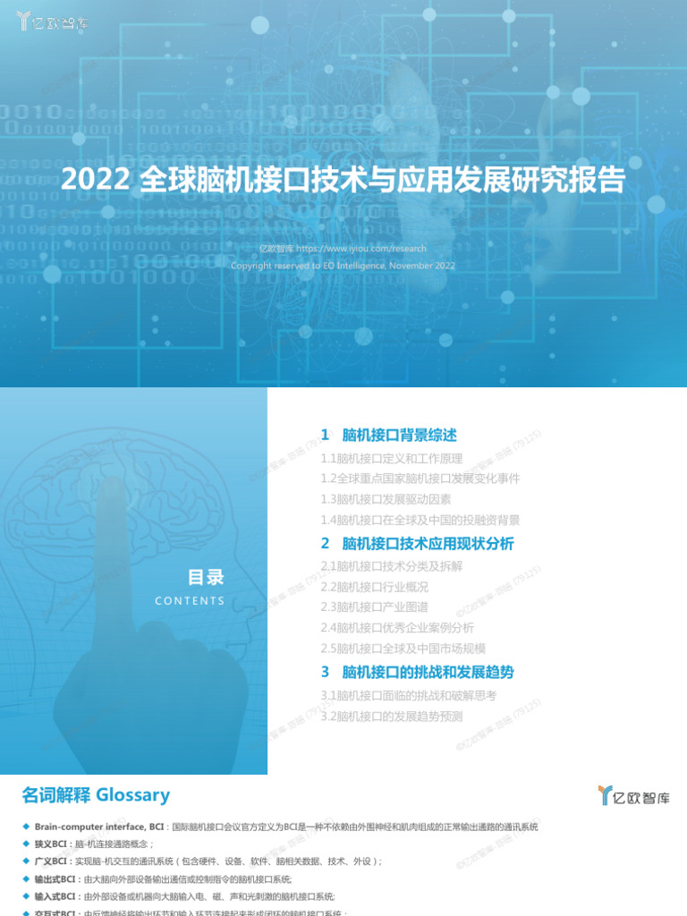 Yi Ou Zhi Ku 2022 Quan Qiu Nao Ji Jie Kou Ji Shu Yu Ying | PDF