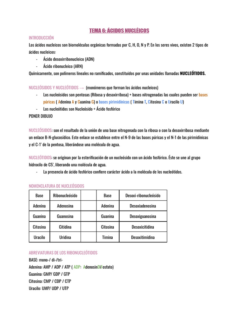 Documento Sin Título | PDF | Rna | Adn