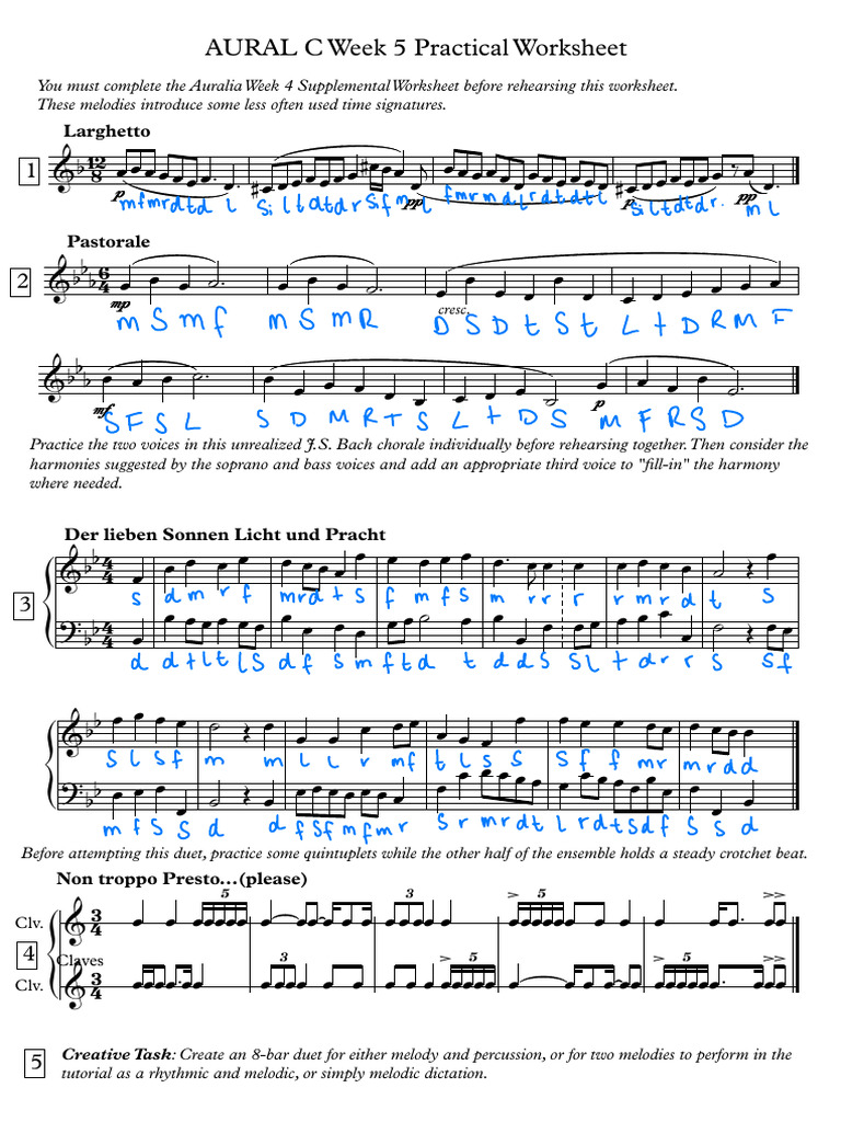 Week 5 Practical Worksheet | PDF