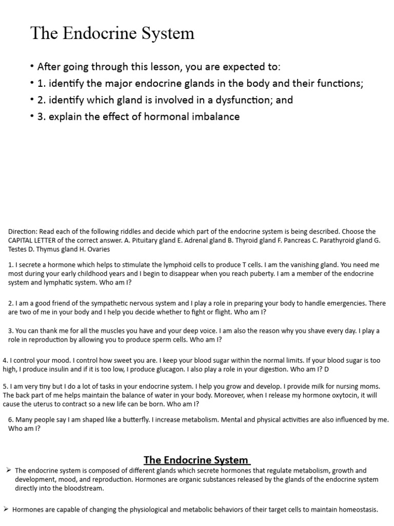 The Endocrine System | PDF | Endocrine System | Hormone