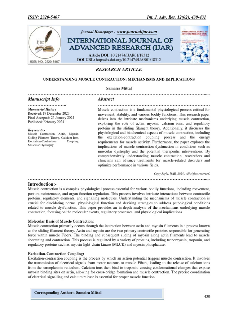 Understanding Muscle Contraction: Mechanisms and Implications | PDF ...