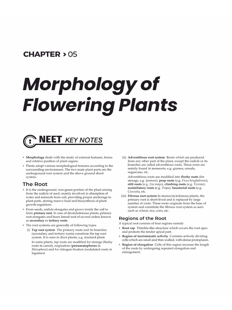 Morphology of Flowering Plants | PDF