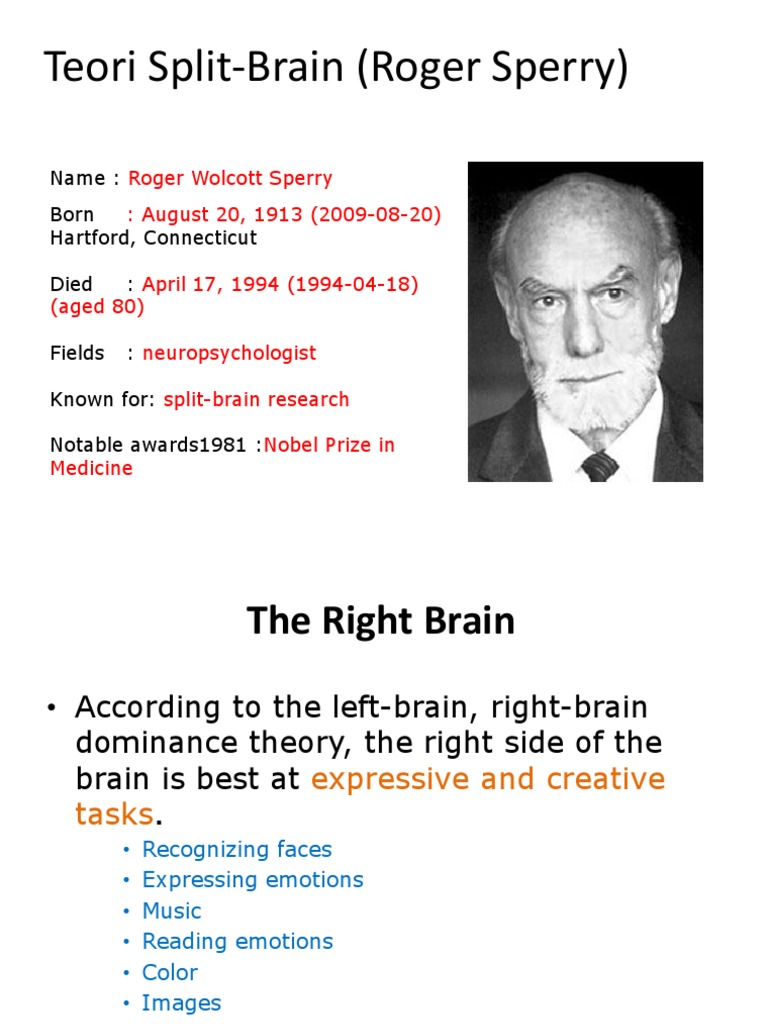Roger Sperry Split Brain