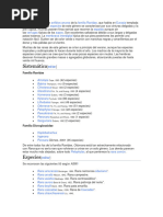 Rana Nodriza Niputidea (Allobates Niputidea) NaturaLista Colombia | PDF