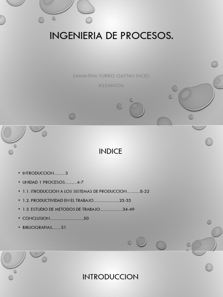 Presentación Procesos | PDF | Negocios
