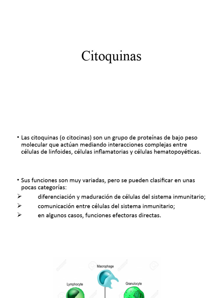 Citoquinas | PDF | Citocina | T Helper Cell