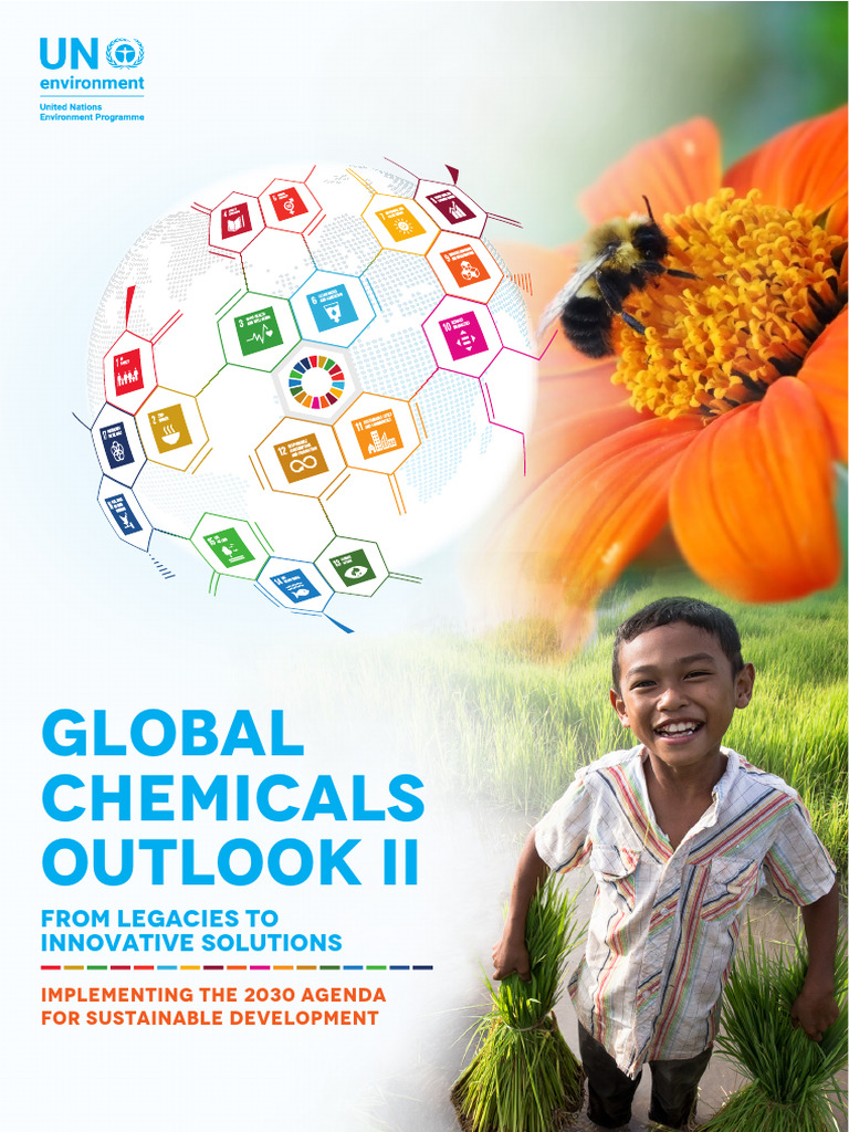 Gco II Intro | PDF | United Nations Environment Programme | Environment