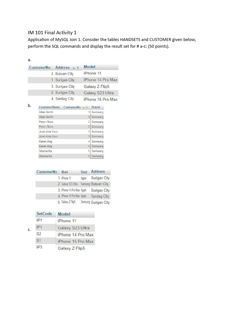 IM 101 Final Activity 1 | PDF