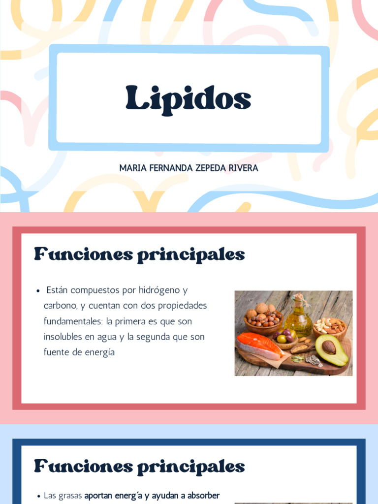Lipidos | PDF