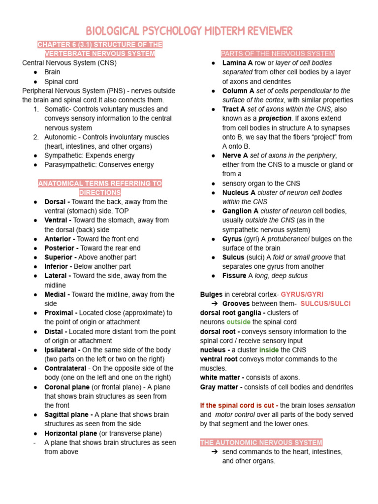Biopsych Reviewer | PDF | Nervous System | Central Nervous System