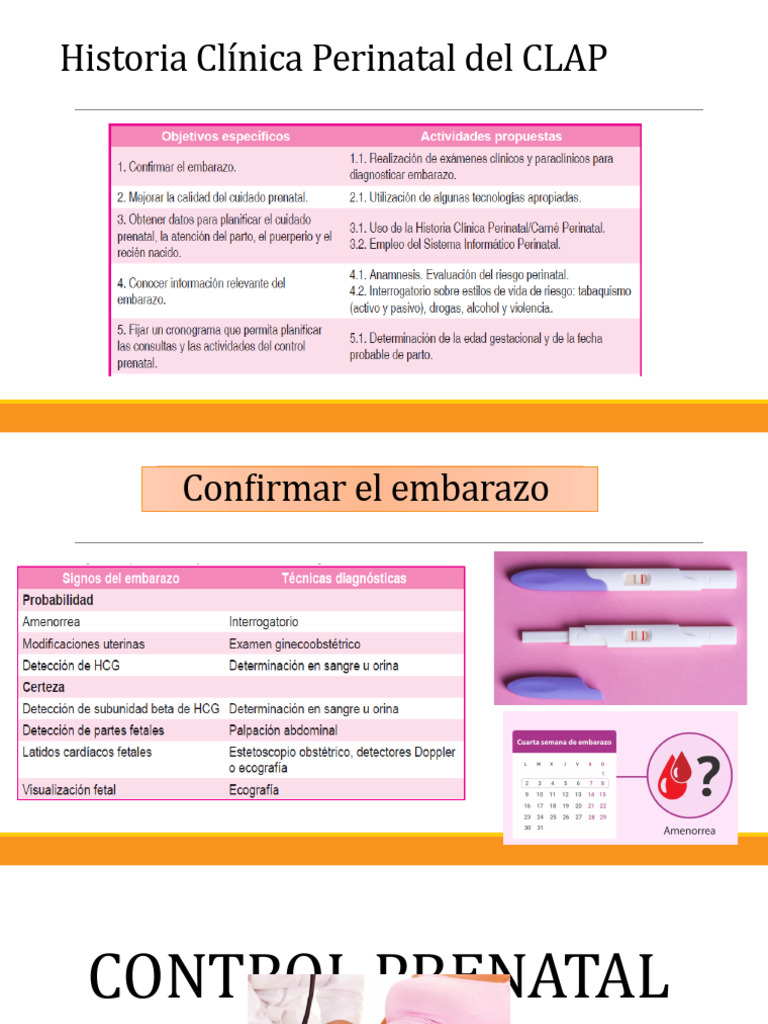 Control Prenatal - Exposicion | PDF | El embarazo | Parto