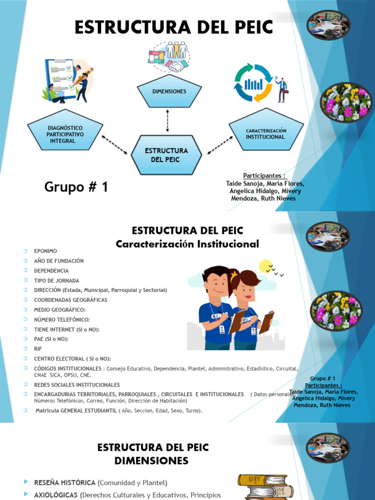 Estructura Del Peic Equipo 1 | PDF