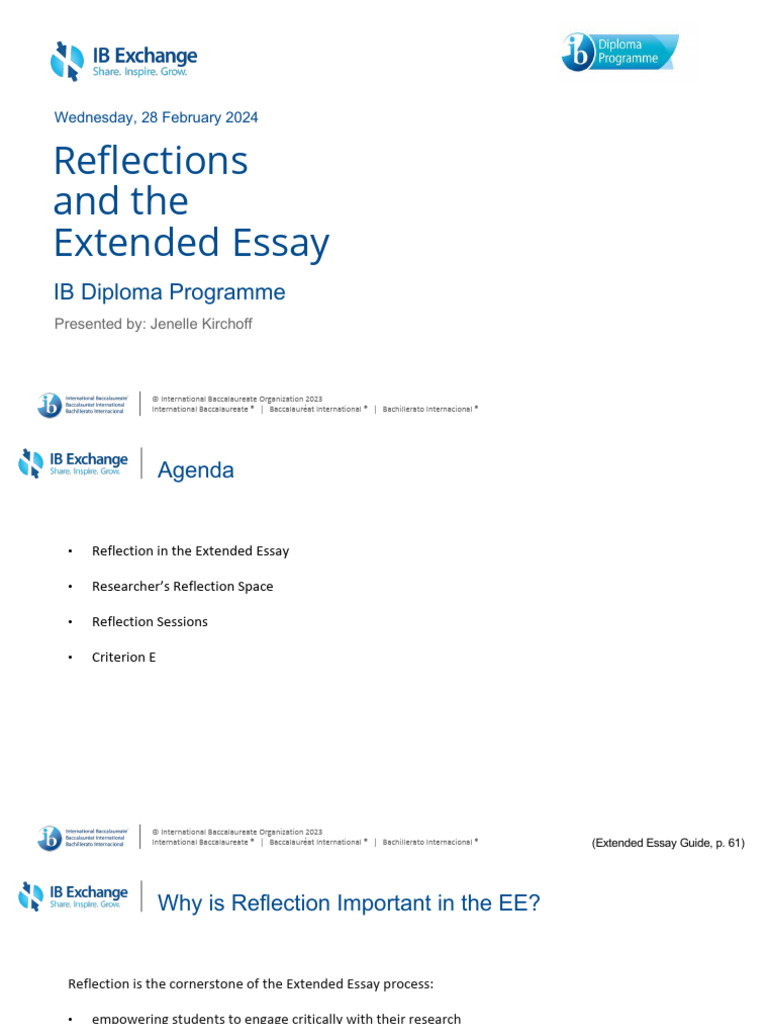 IBX Reflections and The Extended Essay | PDF