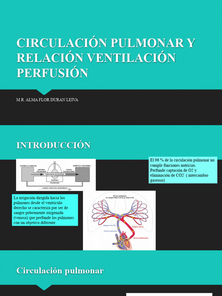 Circulación Pulmonar y Ventilación-Perfusión | PDF | Sistema ...