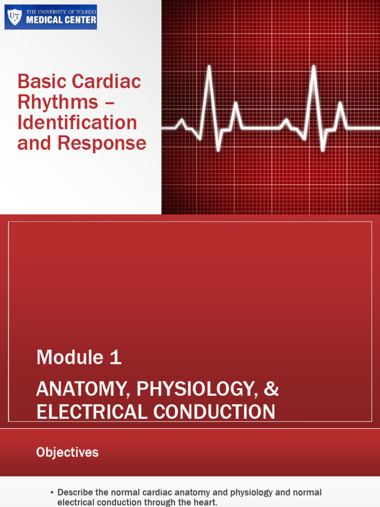 Basic EKG Refresher | PDF