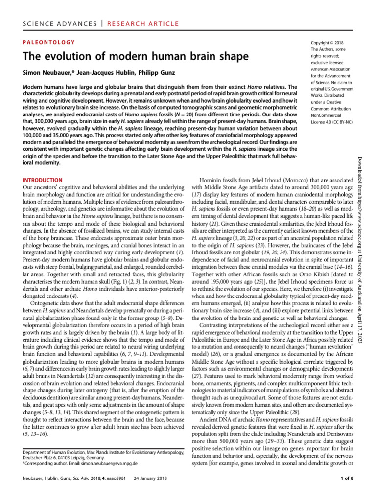 The Evolution of Modern Human Brain Shape | PDF | Human | Homo