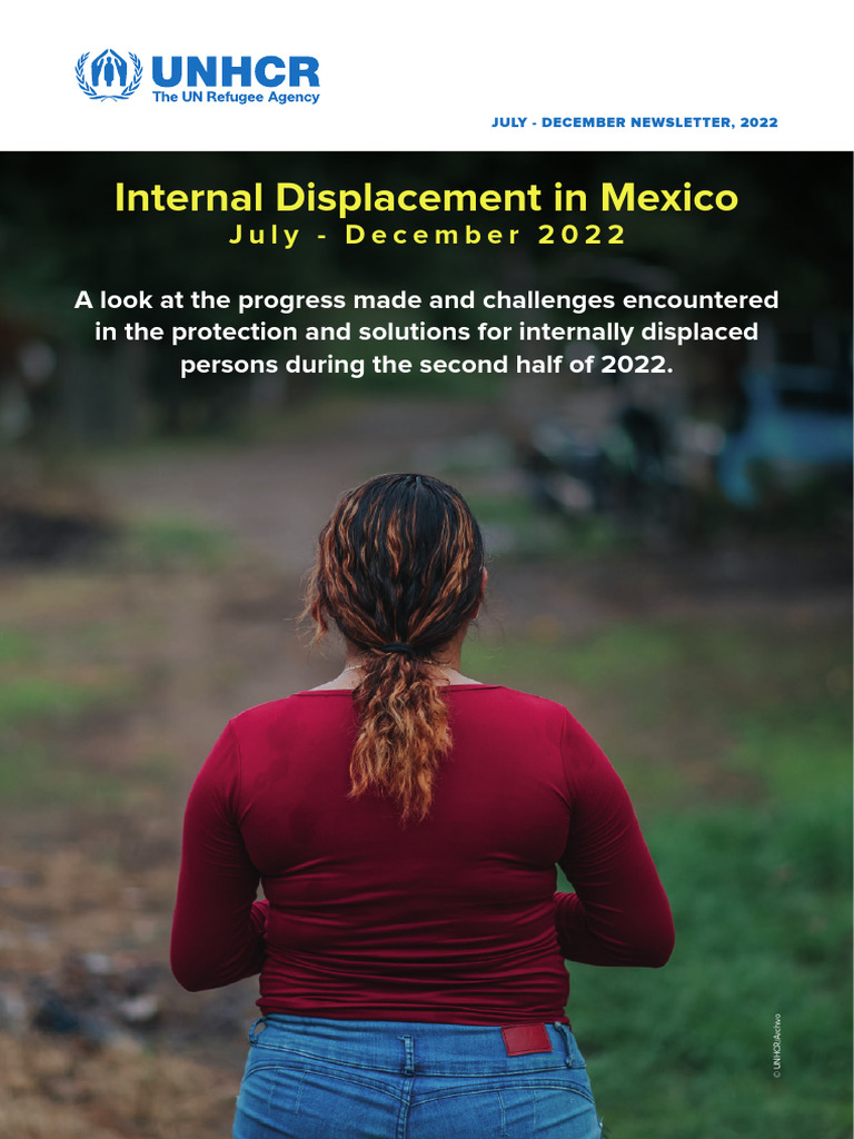 Internal Displcement Mexico | PDF | Internally Displaced Person | Refugee