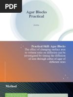Effect of Surface Area on Diffusion Rate | PDF | Surface Area