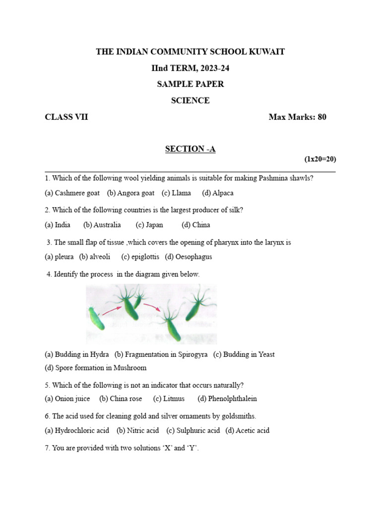 Class 7 Science Sample Paper | PDF | Silk | Light