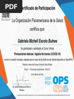Certificado de Lavado de Manos Ops | PDF | Salud pública | Politica de salud