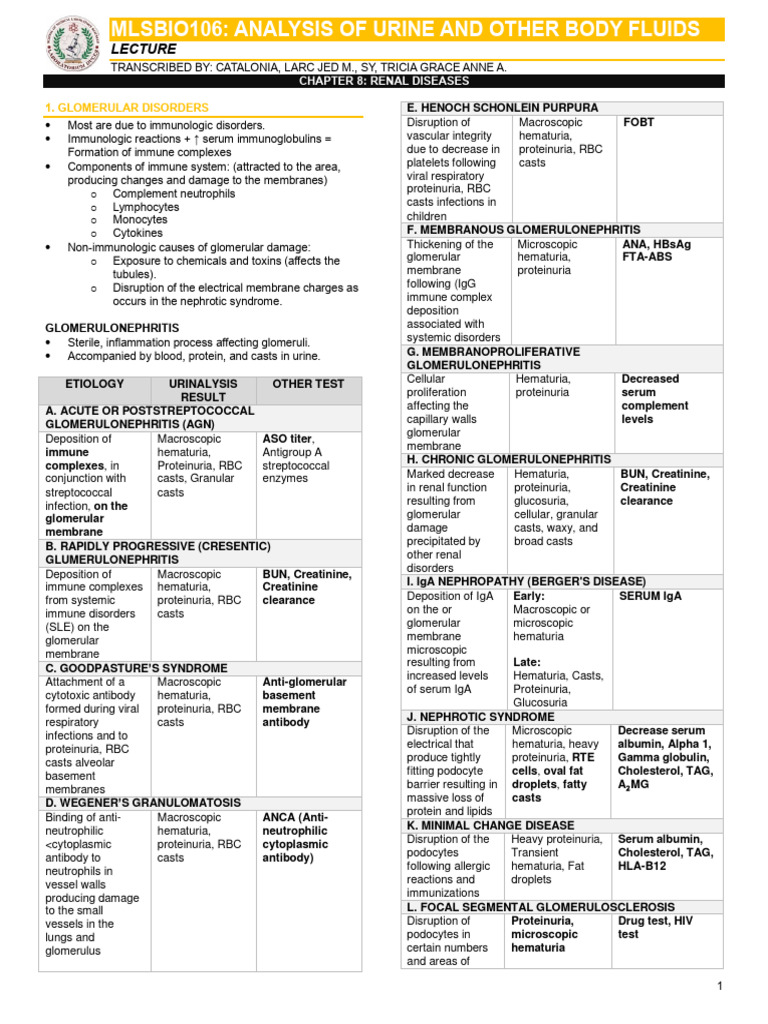LEC AUBF Renal-Diseases MIDTERMS 02 | PDF | Diseases And Disorders ...