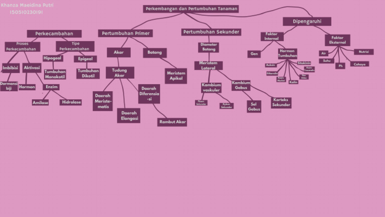 Mind Map Perkembangan Dan Pertumbuhan Tanaman | PDF