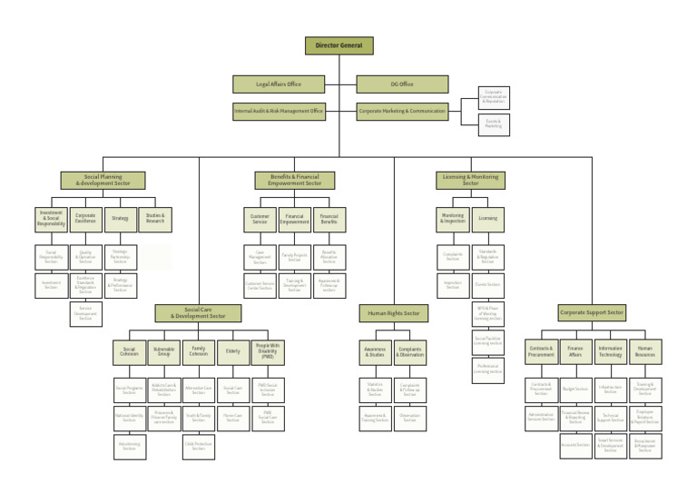 CDA Organizational Structure Overview | PDF | Disability | Social Work
