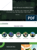 Chiến Lược Định Giá Cocoon | PDF