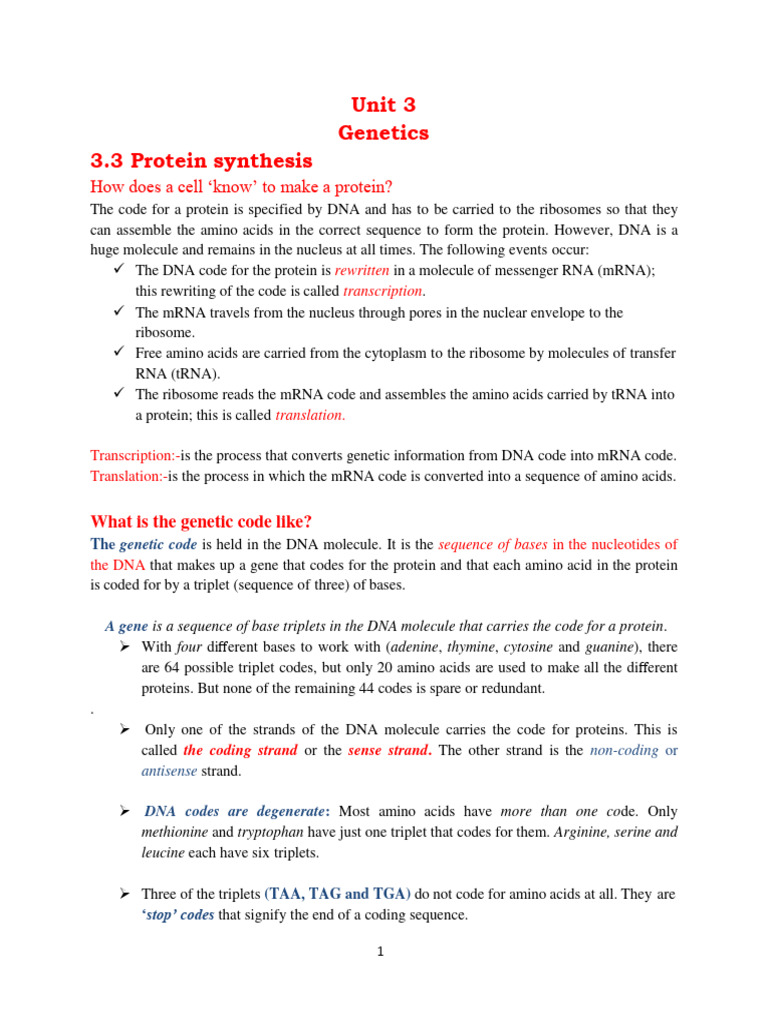 BIO G12 Unit 3 Short Notes | PDF | Translation (Biology) | Sense ...