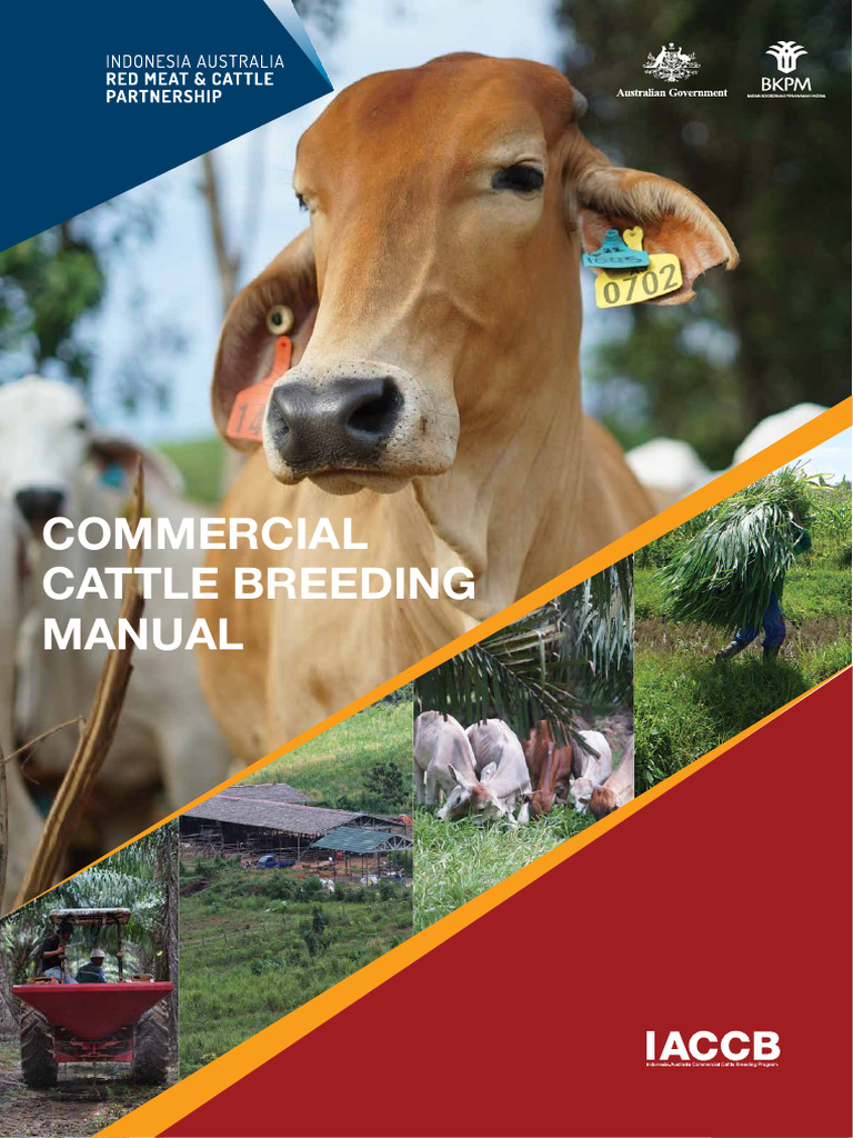 Manual Iaccb Eng | PDF | Cattle | Domestication