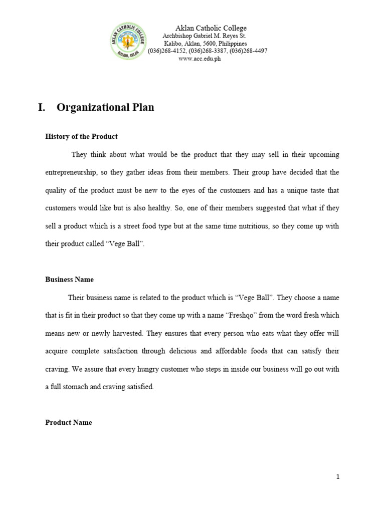 Organizational Plan 2 | PDF | Expense | Income Statement