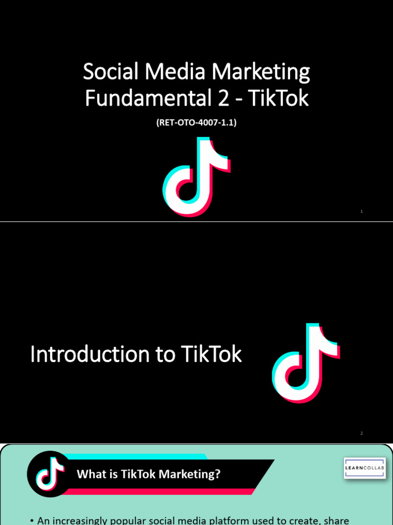 SMM2 Learners Guide L4 TikTok | PDF