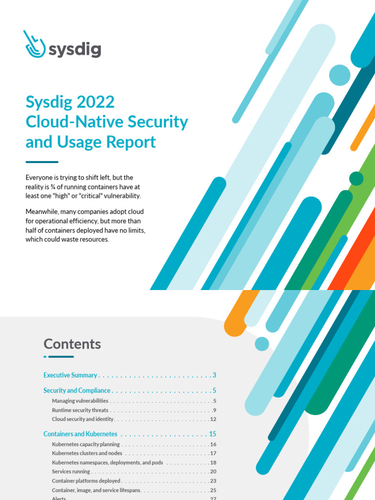 2022 Cloud Native Security and Usage Report | PDF | Cloud Computing | Vulnerability (Computing)