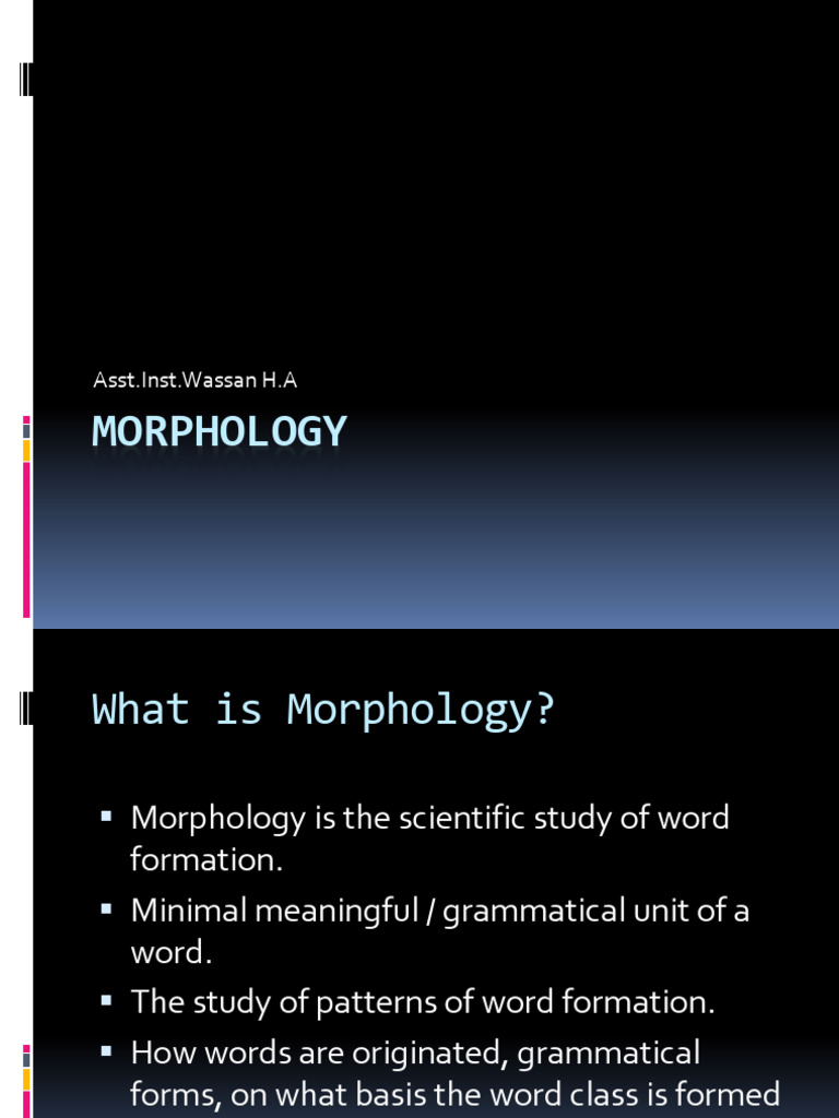 Morphology | PDF | Word | Grammatical Number