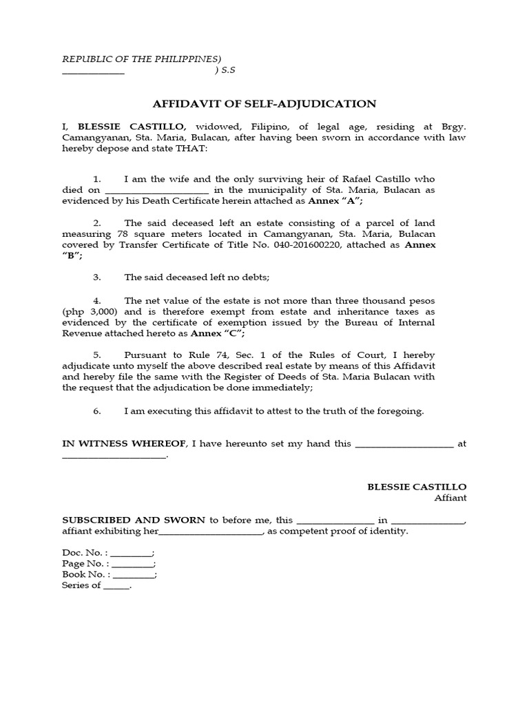 Affidavit of Self Adjudication | PDF