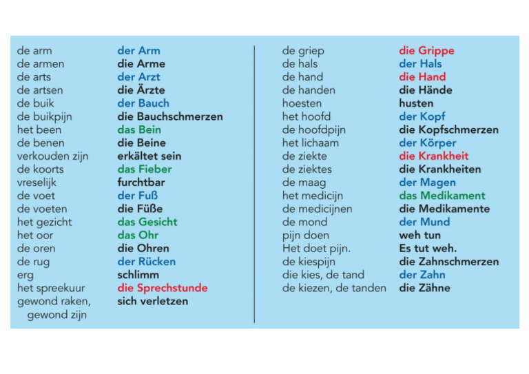 Woorden Schritt 8 Duits | PDF