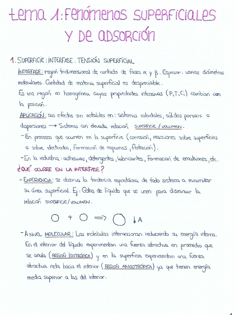 Wuolah Free TEMA 1 Gulag Free | PDF