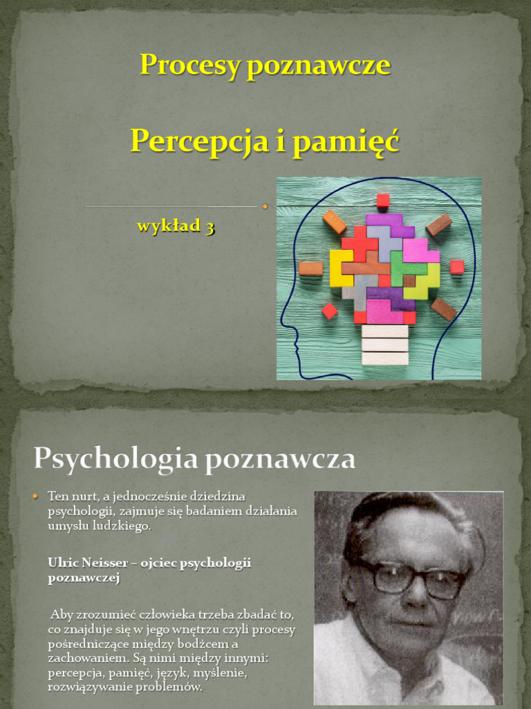 3-Procesy Poznawcze 2024 | PDF