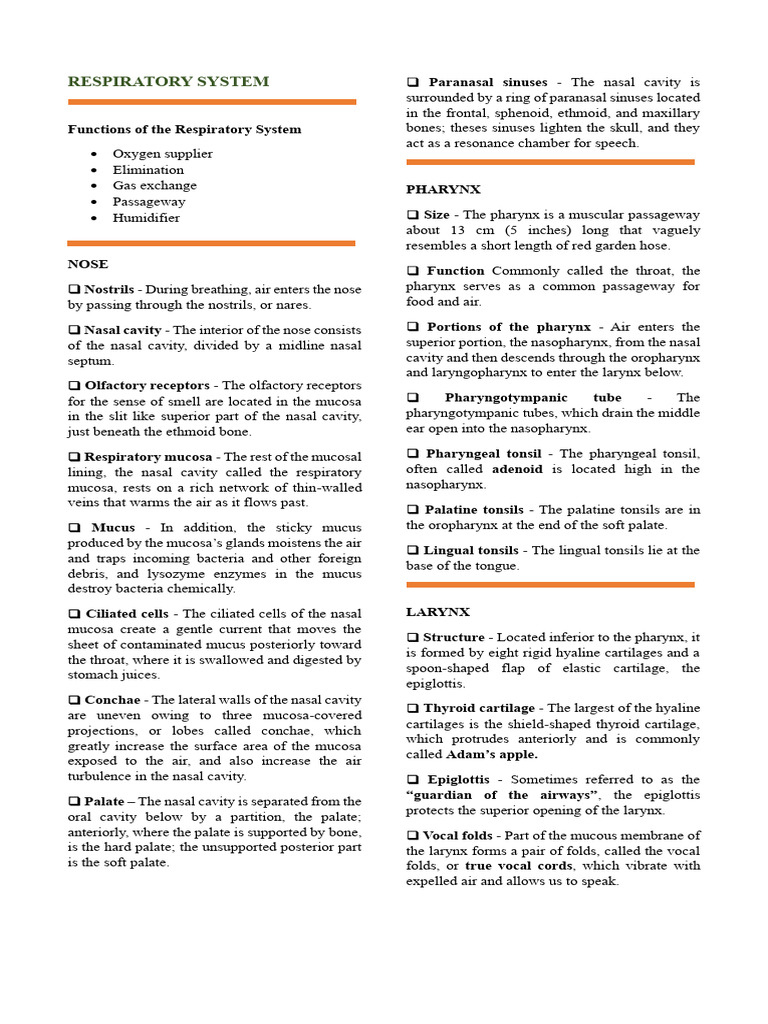 2 Respiratory | PDF