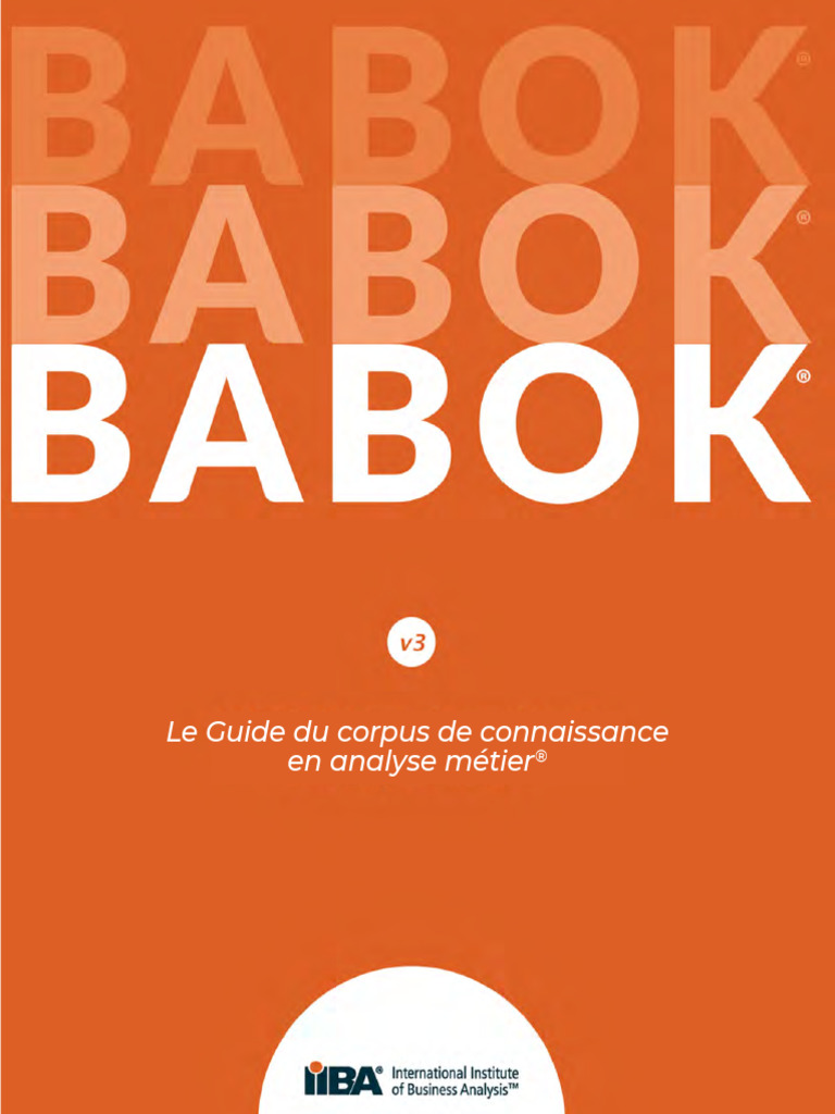 Babok | PDF