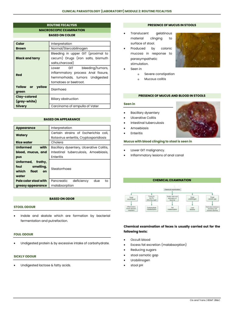 Parasitology Lab M2 Routine Fecalysis | PDF | Human Feces | Diseases ...