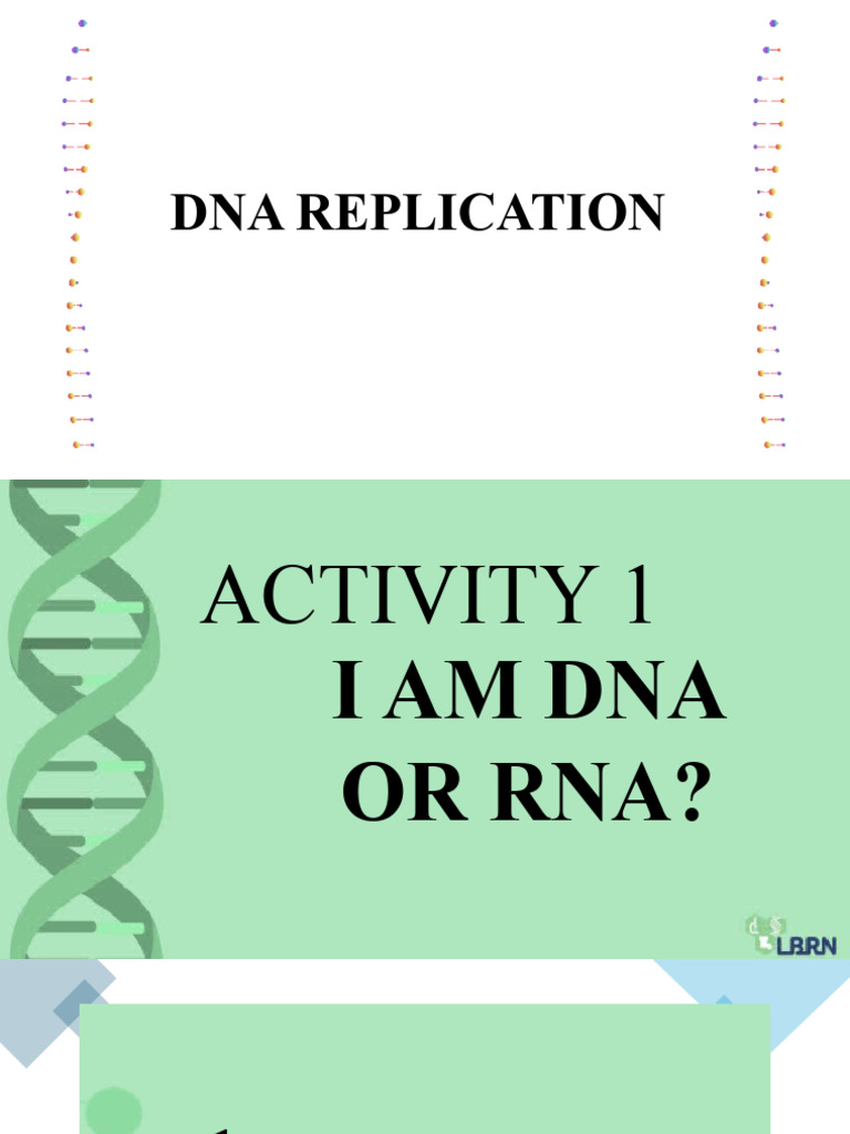 Cot 3 DNA Replication 2 | PDF