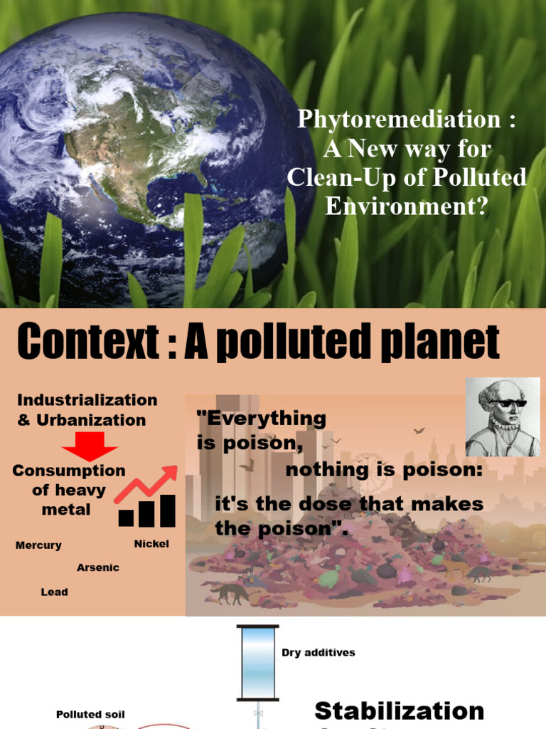 Phytoextraction of Heavy Metals | PDF