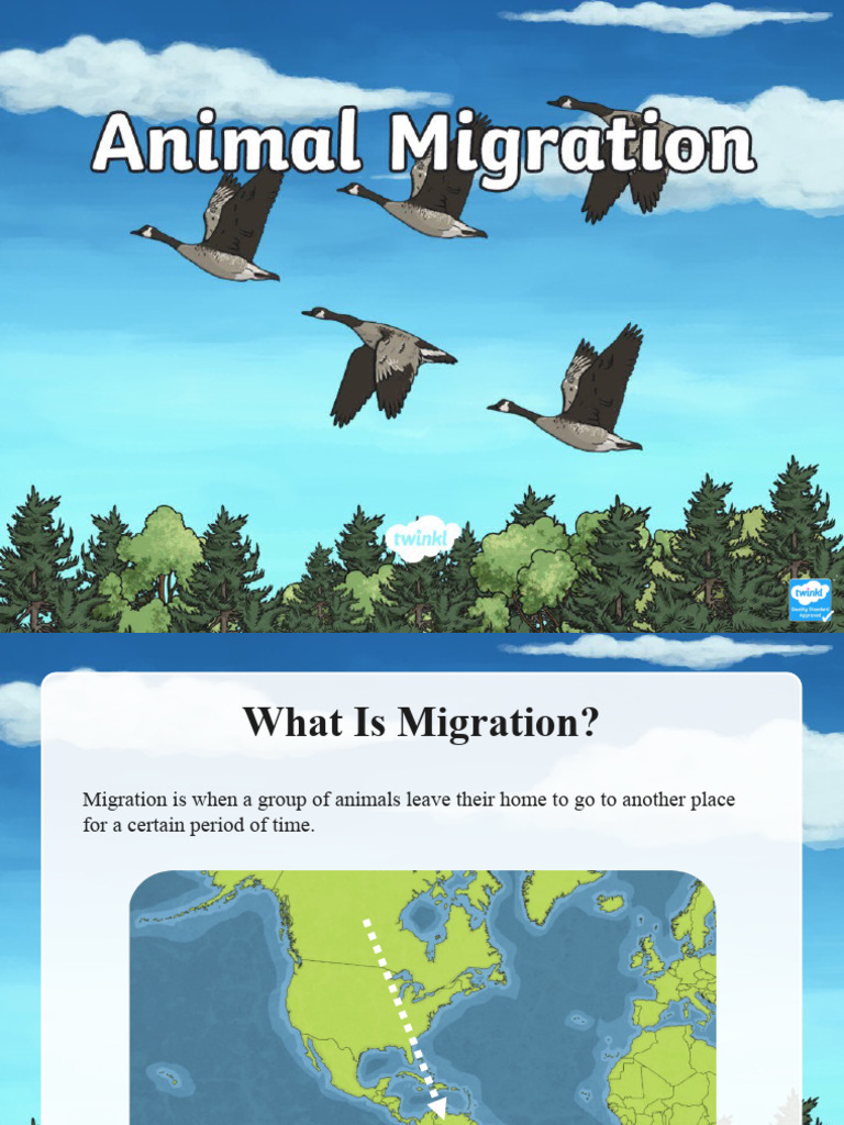 T2 T 48 Animal Migration PowerPoint Ver 3 | PDF | Social Science ...