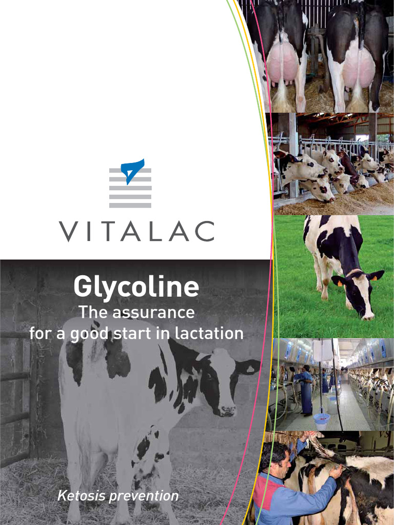 Vitalac Glycoline GB | PDF