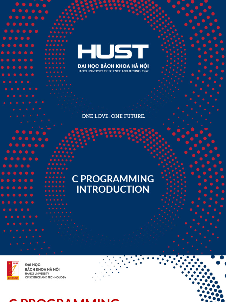 CIntro Week11 VI - Ver2 | PDF